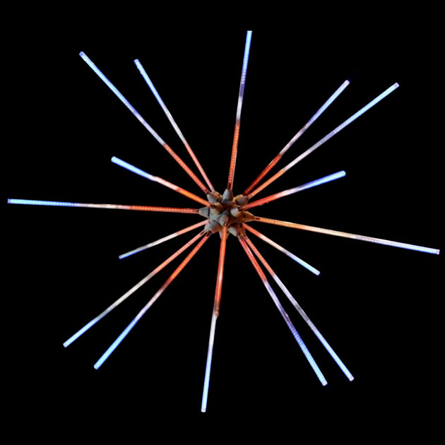 LED Firework Starburst | Animated Outdoor Patriotic Display – Holiday ...